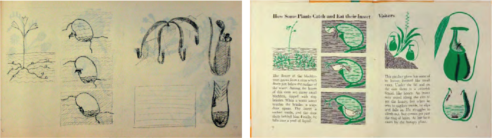 试想像一个没有表情符号的世界:( －Marie Neurath玛丽·纽拉特| The Designer's Designer [39] - 知乎