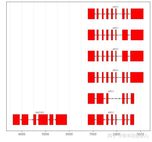 R语言可视化展示gff3格式基因组注释文件简单小例子 - 知乎