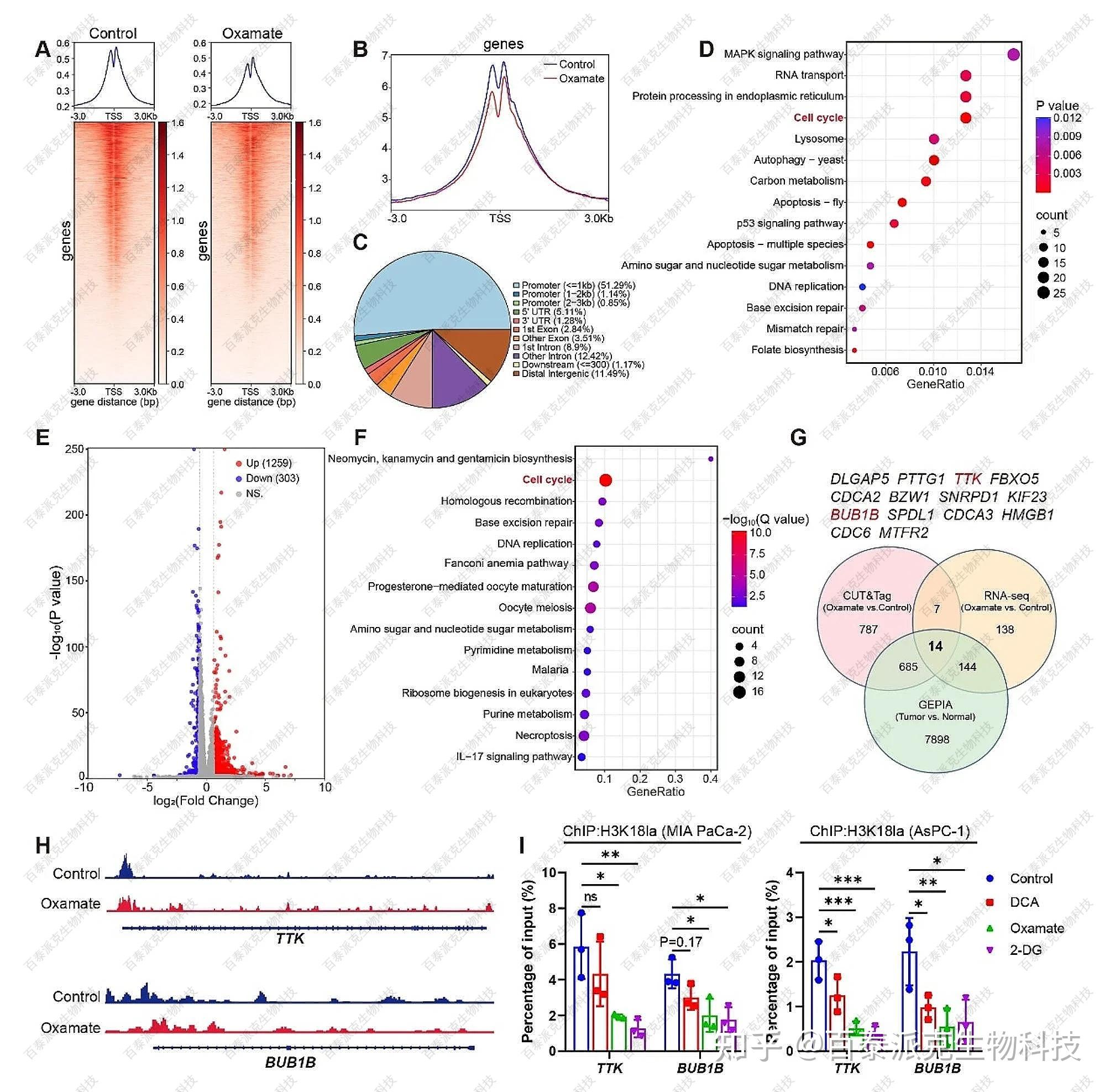 CUT&Tag分析 - 知乎