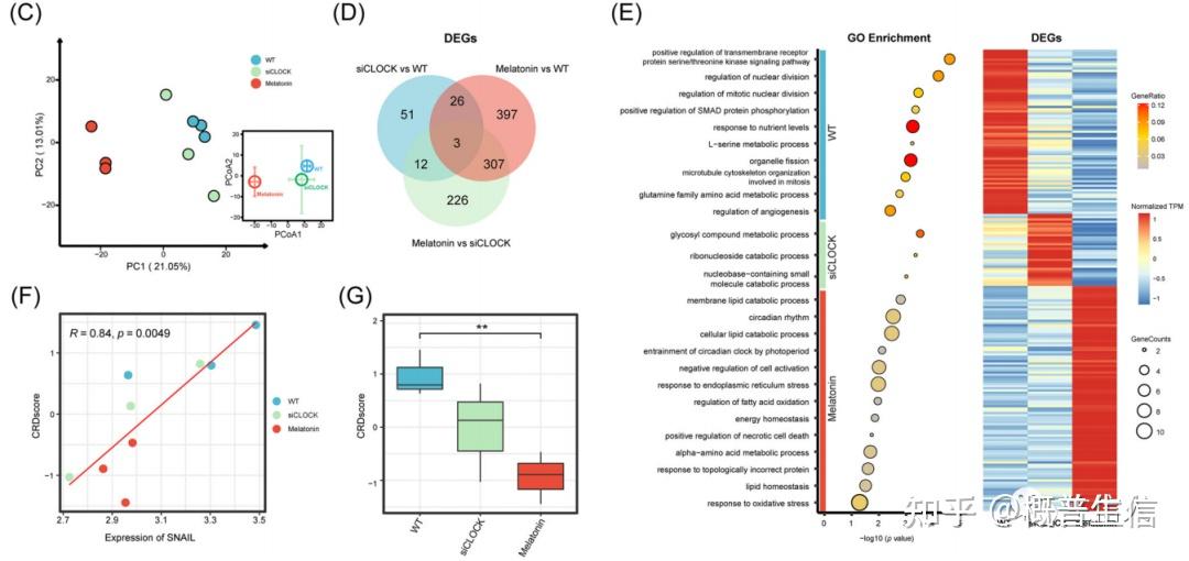 13+昼夜节律相关的单细胞预后思路分享 - 知乎