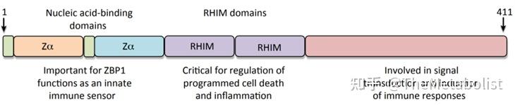 代谢学人--Science近期代谢精选 - 知乎