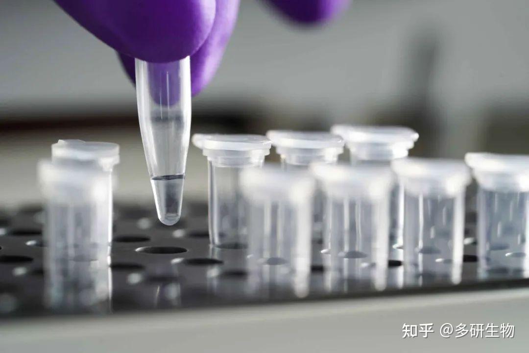 科研干货 | WB和qPCR的实验重复有什么区别？ - 知乎