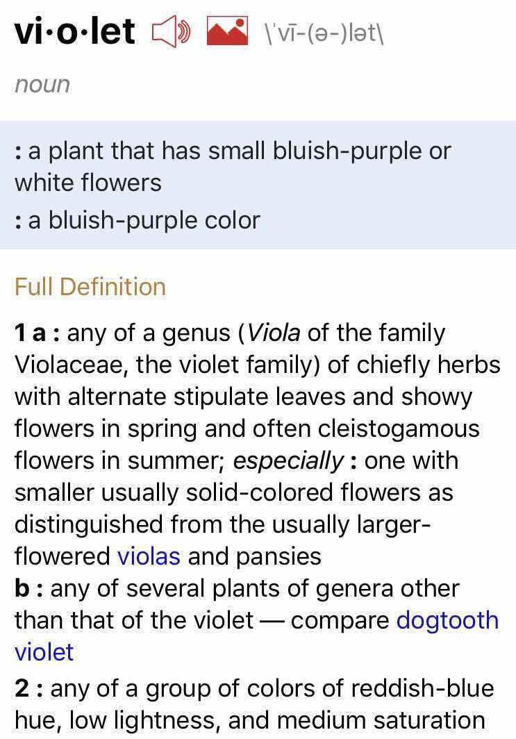 purple 与 violet 的具体区别是什么？ - 知乎