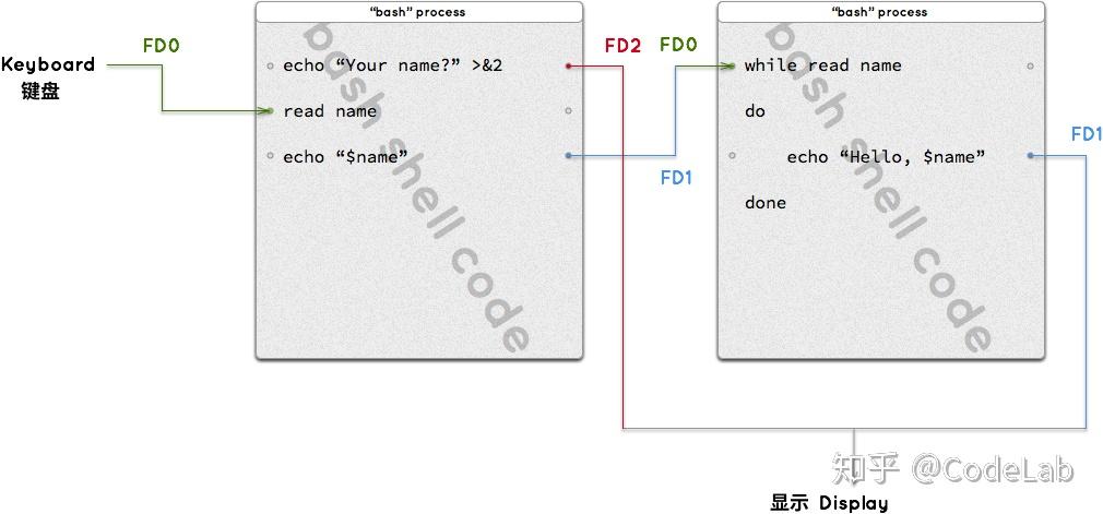 Bash 指南四篇之 bash 是什么，它活在哪里？ - 知乎