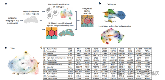 Nat Immu | 哈佛MIT团队发现干细胞“免疫中枢”，与免疫治疗响应相关 - 知乎
