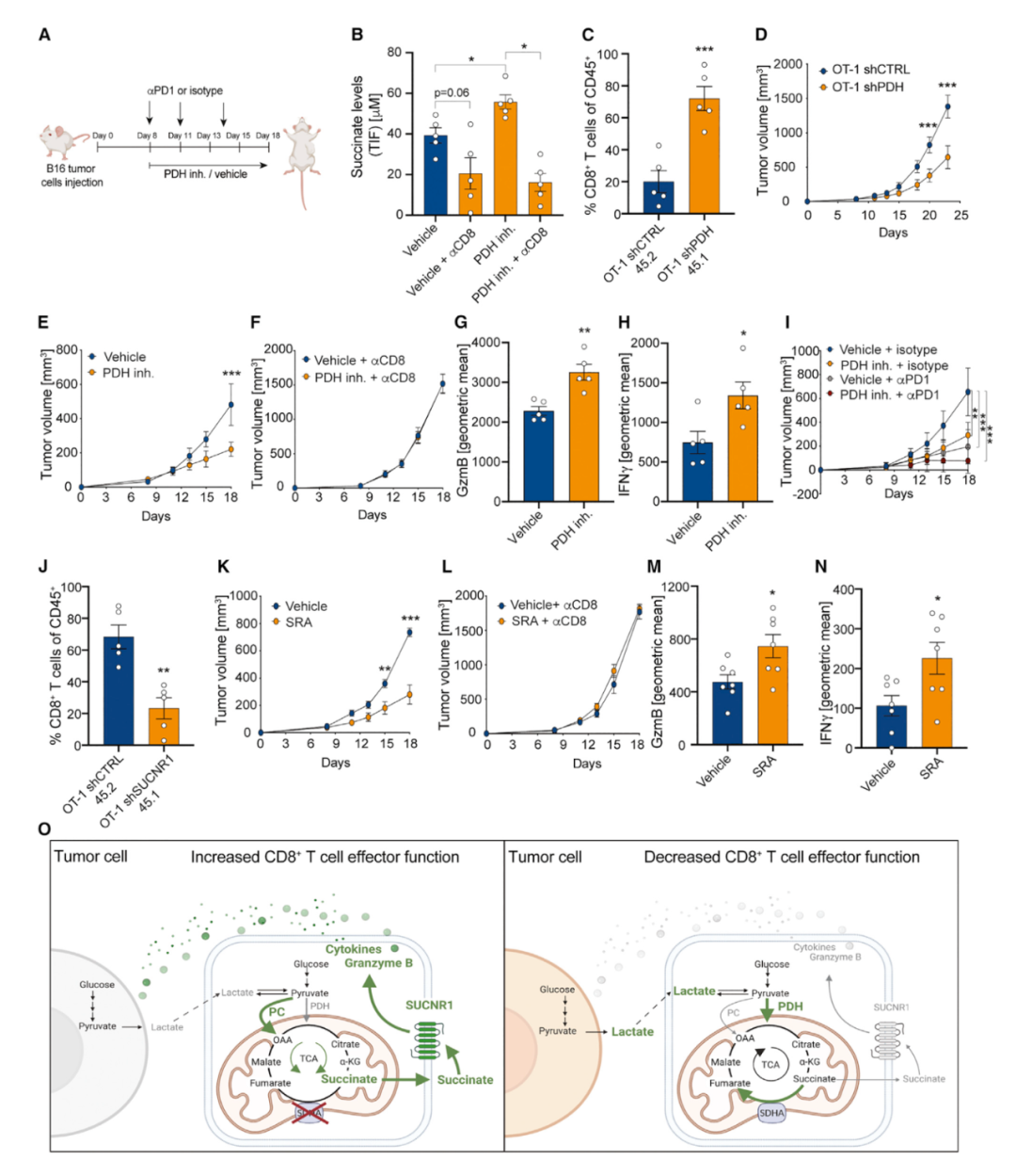 Cell Metab 丨 靶向肿瘤微环境中CD8+T细胞代谢的治疗潜力 - 知乎