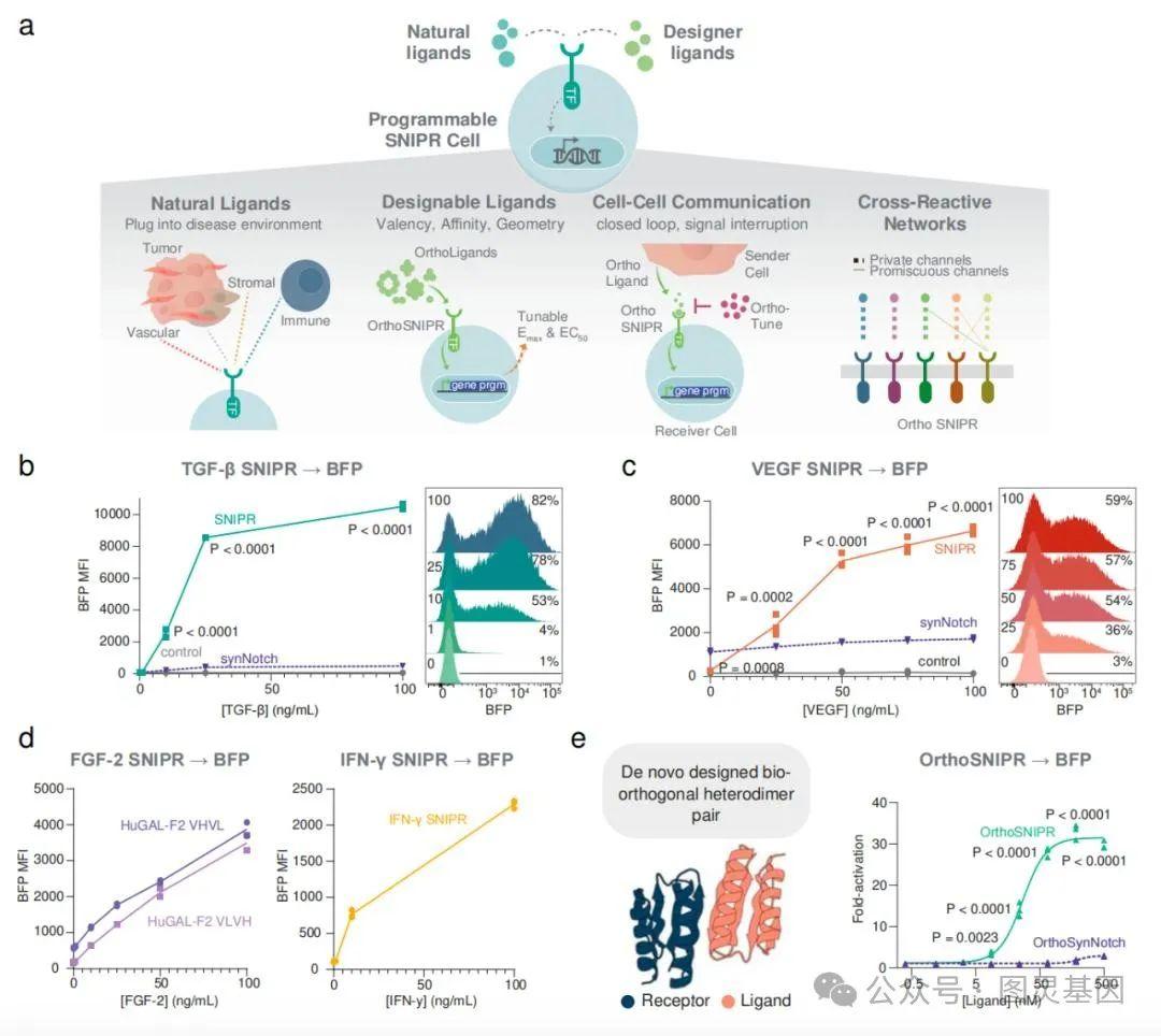 Nature | 免疫治疗新突破：SNIPR受体与靶分子精准结合改变基因表达 - 知乎