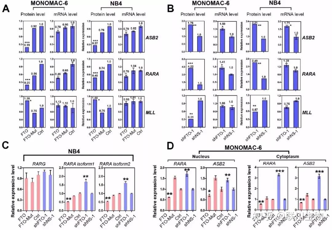 手把手教你如何开展m6A实验（医学版）| m6A专题 - 知乎