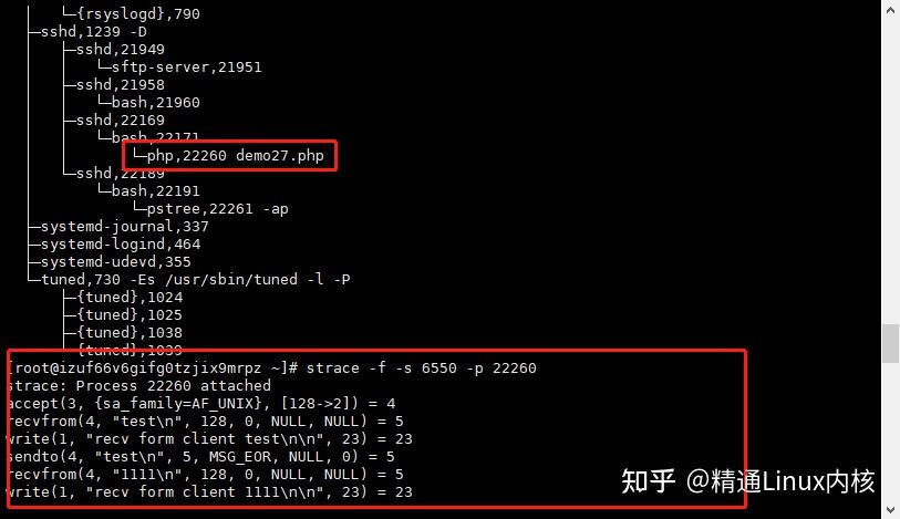 Linux进程通信之Unix套接字 - 知乎