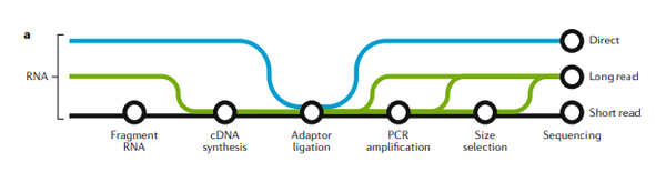 Nature重磅综述 |关于RNA-seq，你想知道的都在这 - 知乎