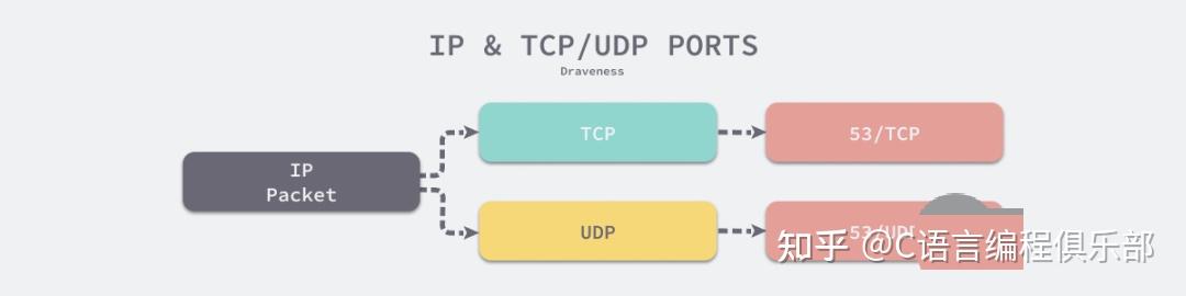 八个字节的 UDP 如何传输数据！细节，都是细节！ - 知乎