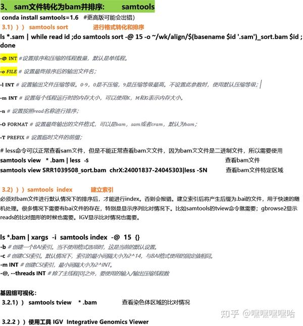 RNA-seq入门实战（二）：上游数据的比对计数——Hisat2+ featureCounts 与 Salmon - 知乎
