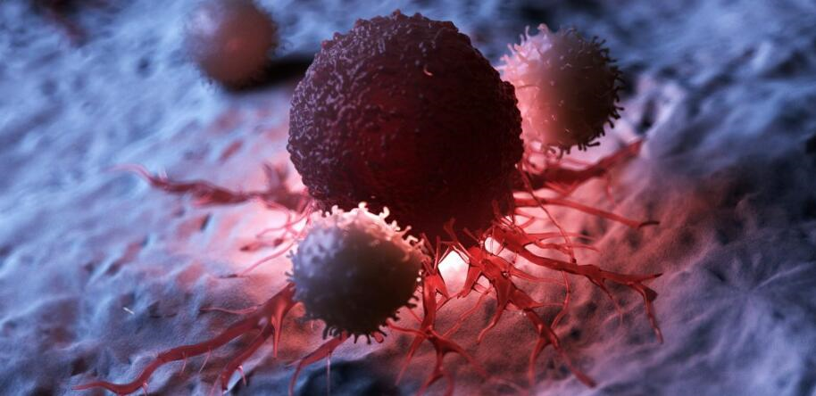 Cancer Discov | 胶质母细胞瘤中肿瘤与免疫环境的自然协同进化 - 知乎