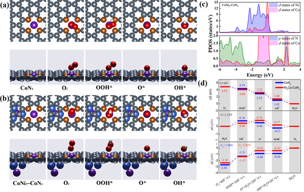 湖北师范大学Nano Energy：高密度CoNi-CoN4 活性位点嵌入的多级孔碳作为ORR与OER双功能催化剂用于柔性锌空气电池 - 知乎