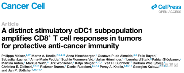 Cancer Cell | AI深度学习研究发现树突状细胞亚群增强CD8+T细胞反应,实现抗肿瘤免疫 - 知乎
