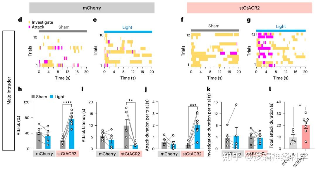 Nat Neurosci︱纽约大的Dayu Lin 团队揭示抑制对强敌发起攻击的下丘脑通路 - 知乎