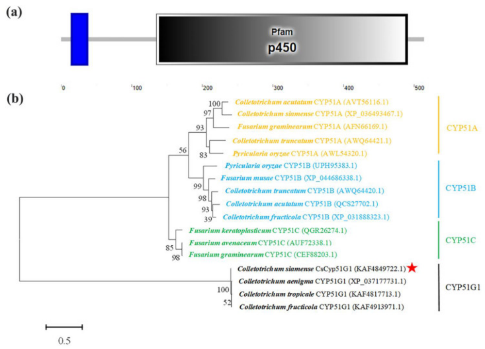 项目文章 ｜ChIP-seq和RNA-seq联合分析助力揭示暹罗炭疽菌对咯菌腈反应的作用 - 知乎