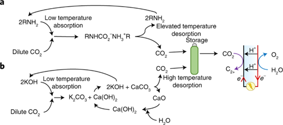 CO2又一篇Nature Catalysis：先捕获，再转化成高价值化学品！ - 知乎
