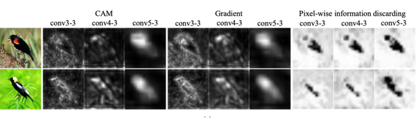 TPAMI 2022 | 上海交大张拳石组：知识蒸馏为什么有效？因为有老师给你划“重点” - 知乎