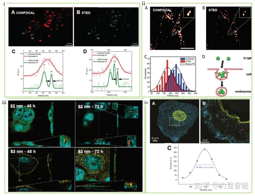 研究综述 | 用于研究纳米细胞相互作用的超分辨率荧光显微镜的进展 - 知乎