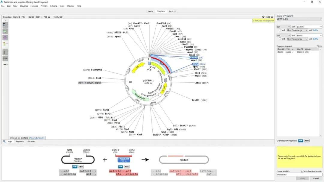 SnapGene 初学者指南 | 使用【Actions】来计划和预测你的克隆实验 - 知乎