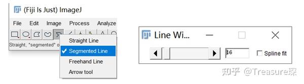 ImageJ实用技巧——Western Blot定量分析深入探究(定量分析篇) - 知乎