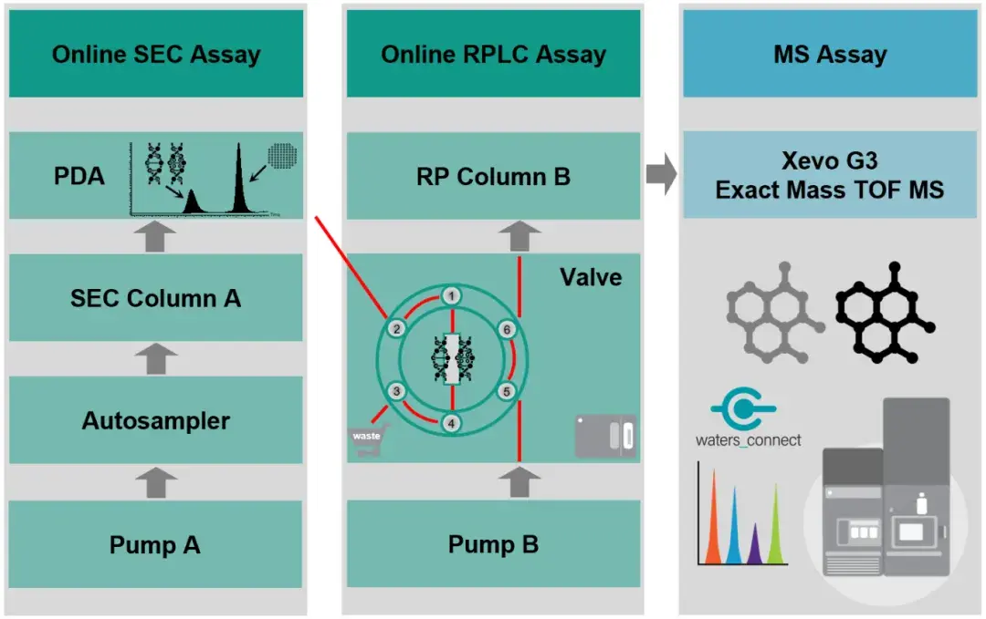 基于亲和质谱技术（ASMS）的高通量药物靶标配体筛选分析 - 知乎