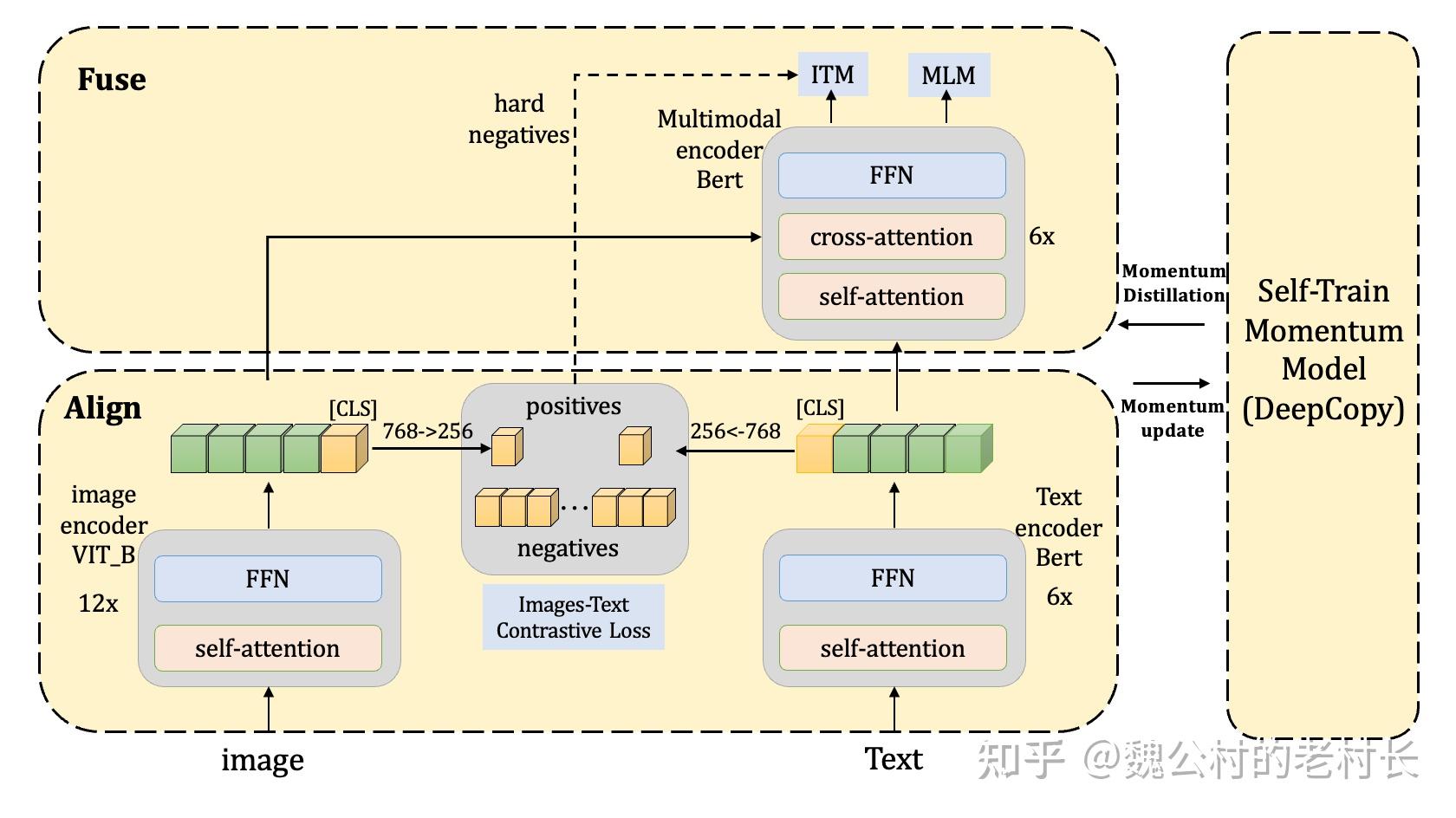 多模态： 从ALBEF到BLIP - 知乎