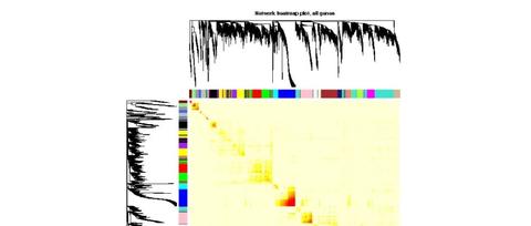WGCNA分析流程详解 - 知乎