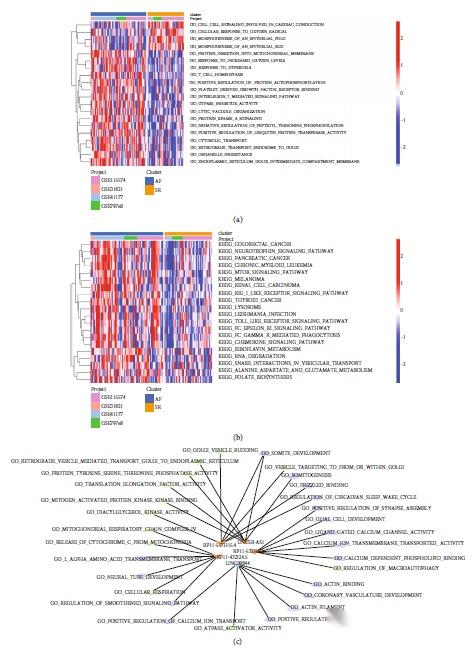 非肿瘤疾病的lncRNA分析关联免疫浸润，发3分+纯生信分析文章so easy！ - 知乎