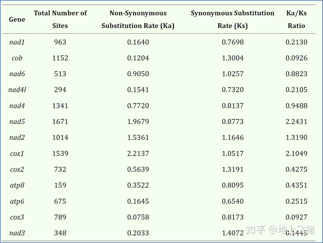 【线粒体基因组分析】17.使用KaKs_calculator3.0进行Ka/Ks选择压力分析 - 知乎