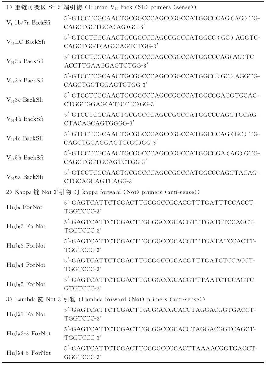 知乎盐选 | 4.3 噬菌体展示抗体库