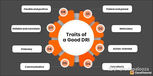 What are Directly Responsible Individuals? How to Set-Up DRI Models? - 知乎