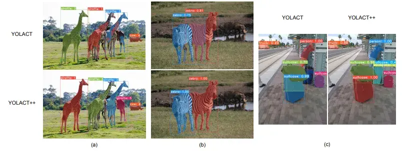 实例分割技术大赏：前沿开源模型全览 - 知乎