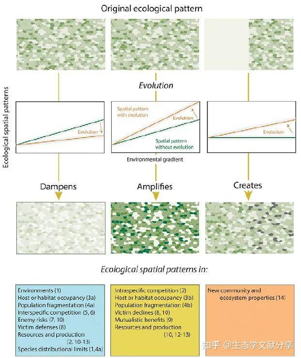 PNAS | 空间尺度生态格局的演化起源 - 知乎