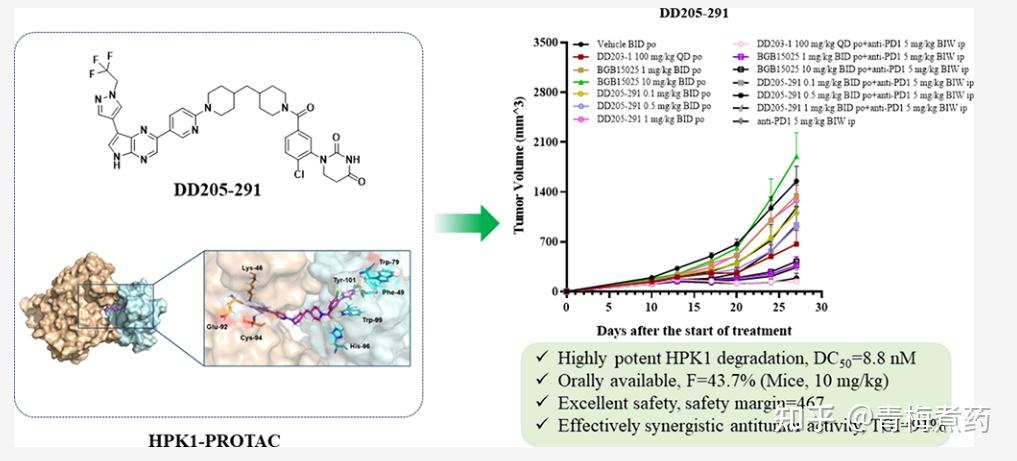 JMC|发现新型用于癌症免疫治疗的高效的、选择性的基于PROTAC的HPK1降解剂 - 知乎