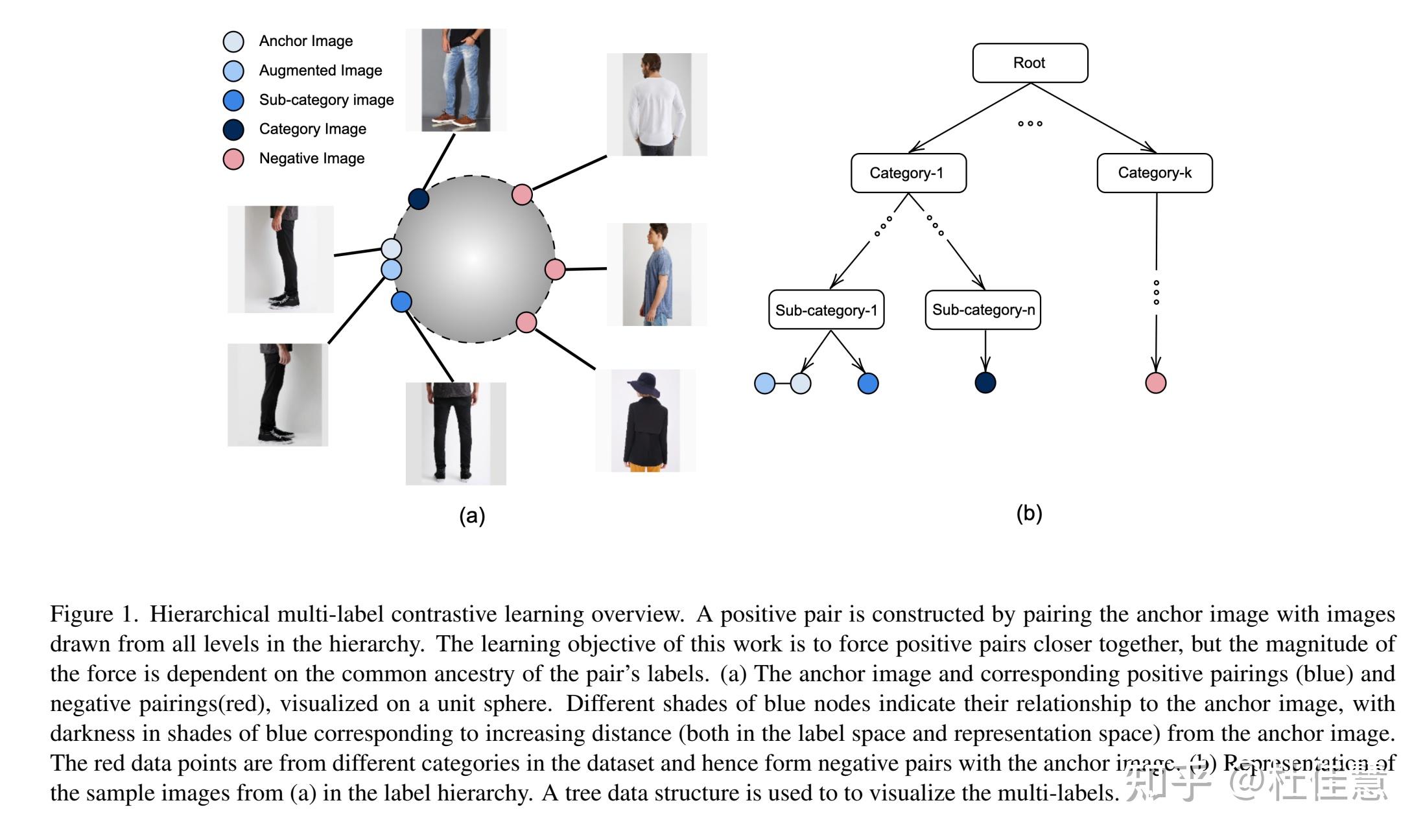 Use All The Labels: A Hierarchical Multi-Label Contrastive Learning Framework - 知乎