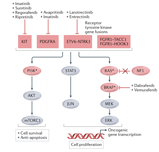 胃肠道间质瘤（GIST）的治疗新策略 - 知乎