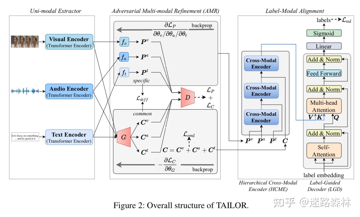 单/多模态多标签分类整理 - 知乎