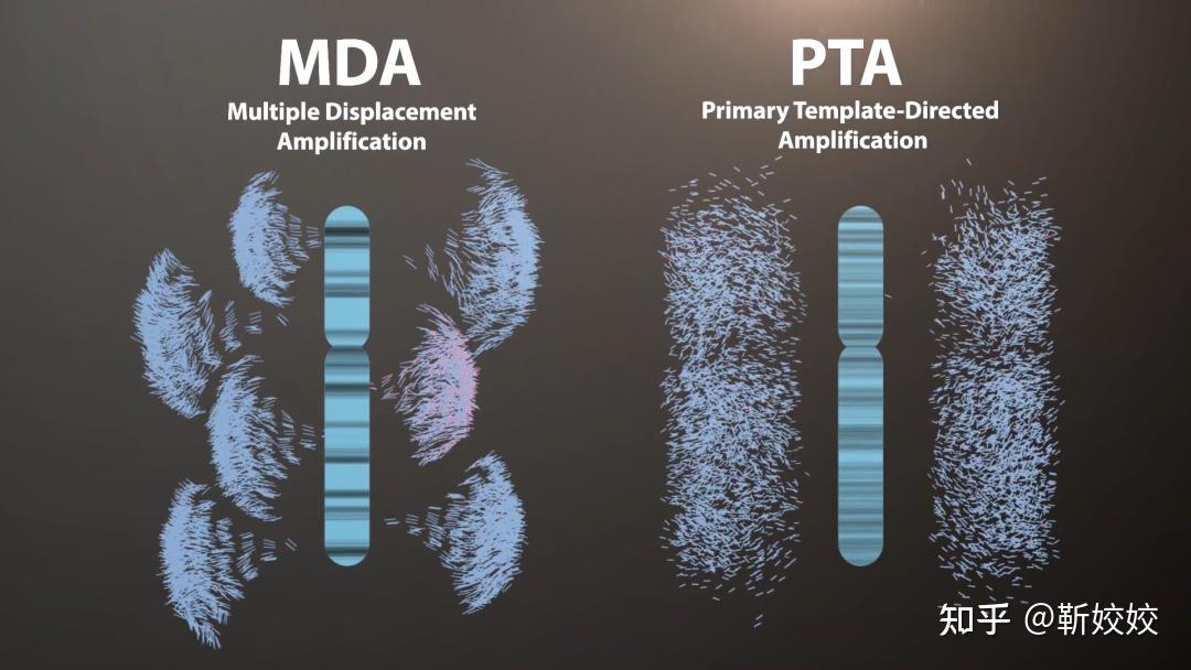 一文了解单细胞全基因组测序之PTA技术 - 知乎