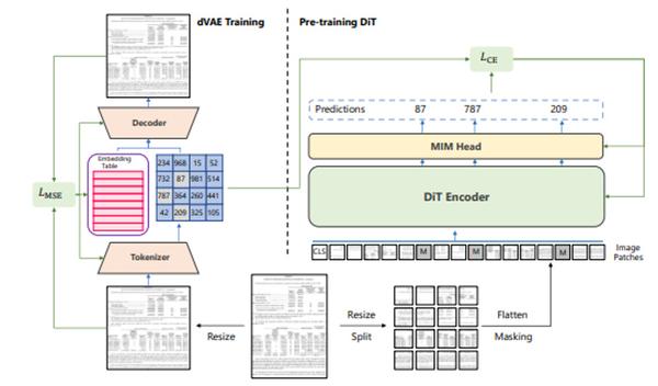 来了来了！通用文档图像预训练模型DiT全解 - 知乎
