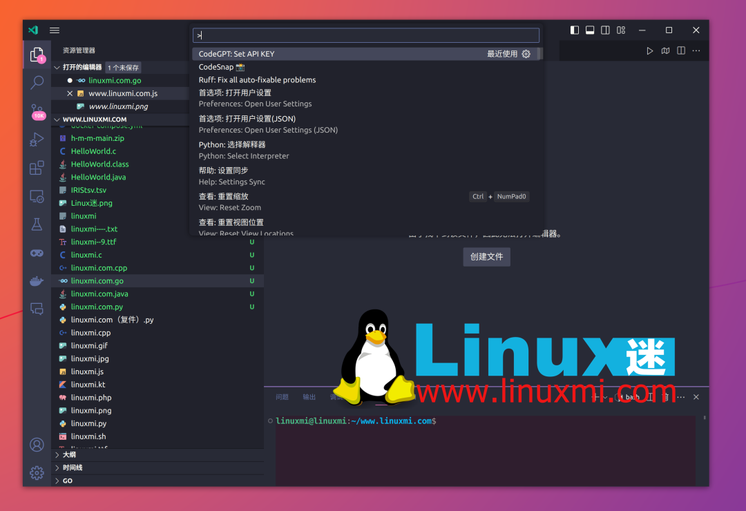 编程利器 VS Codium vs. VS Code，哪个才是你的菜？ - 知乎
