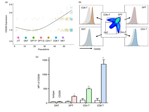 项目文章 | 单细胞测序揭示共刺激分子CD226对胸腺T细胞发育的影响 - 知乎