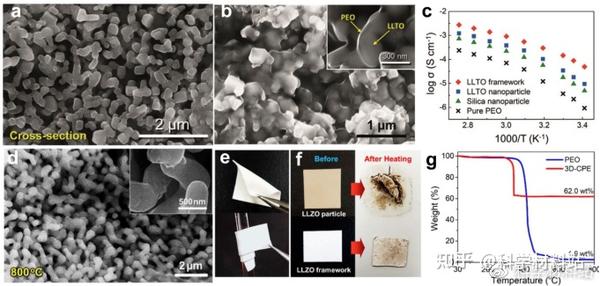 武汉理工大学徐林教授CEJ：3D框架填料在复合聚合物电解质中的研究进展 - 知乎