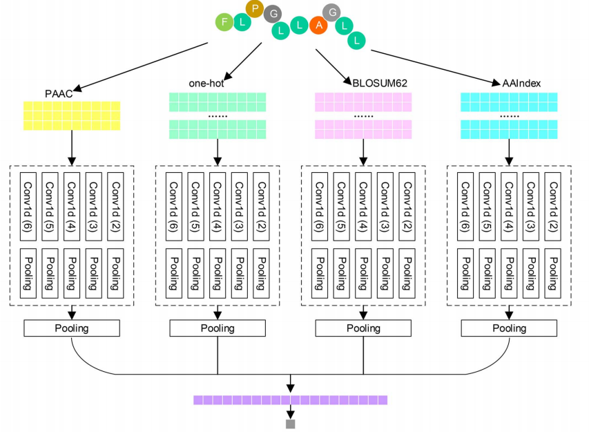 Brief Bioinform｜iAMPCN：识别抗菌肽功能活性的深度学习方法 - 知乎