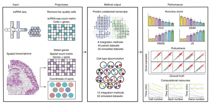9篇生信工具文章，让单细胞和空间转录组数据可视化 | 时空简讯25期 - 知乎
