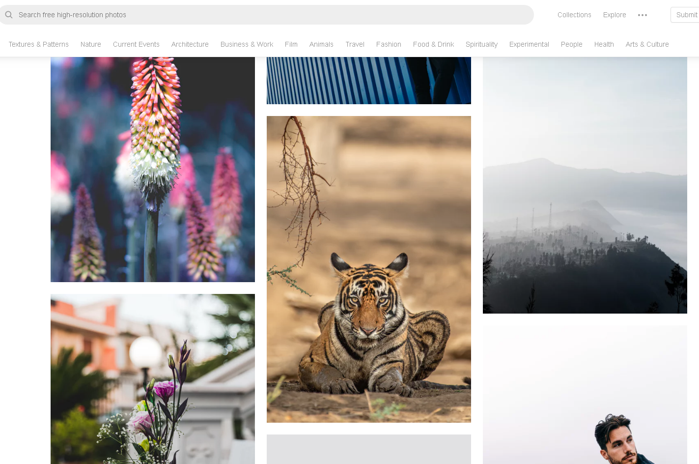酷站推荐 - unsplash.com - Unsplash | Free Images - 知乎