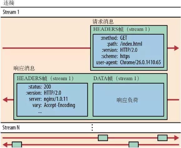 HTTP/2对比HTTP/1.1，特性是什么？是如何解决队头阻塞与压缩头部的？ - 知乎