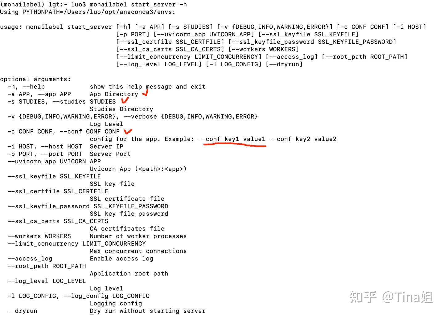 MONAILabel in 3D Slicer 案例1: 在腹部CT中自动分割脾脏 - 知乎
