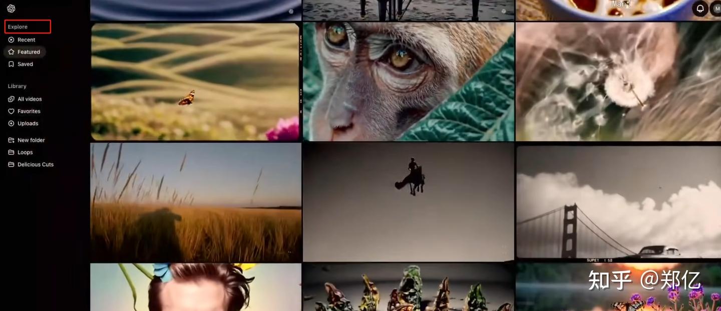 一文讲完新版Sora（附使用教程） - 知乎